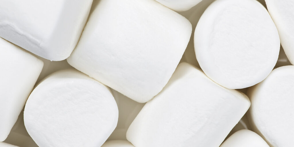 How the Marshmallow Test Can Help Children Thrive and Teach Us How to ...